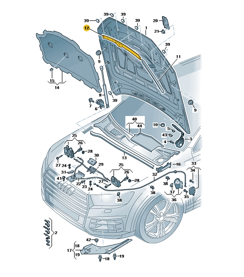Uszczelka pokrywy maski przedniej część środkowa Audi Q8 | 4M8823124 ...